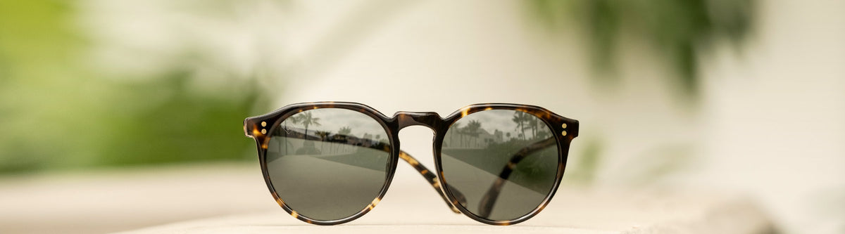 RAEN Tortoise Collection