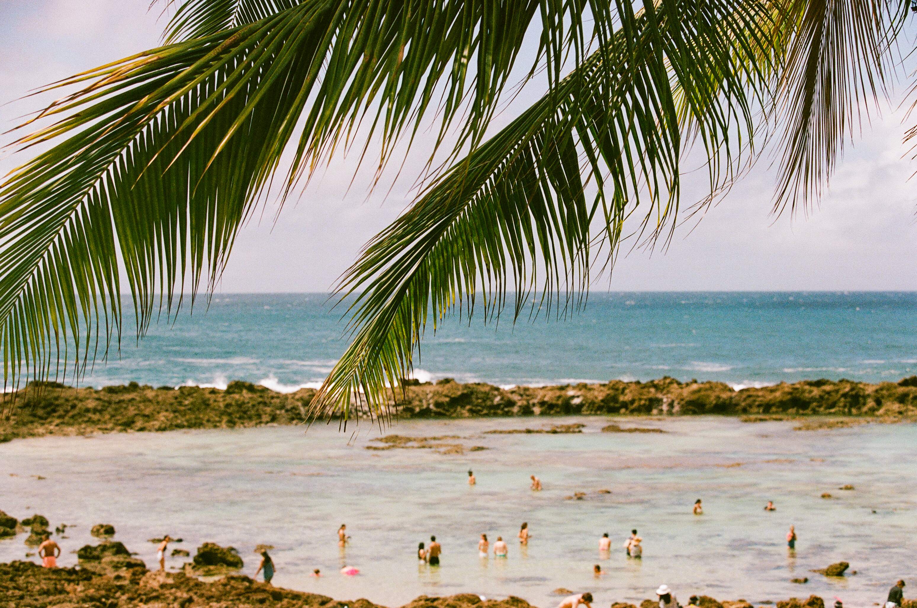 Welcome Coco Ho – RAEN