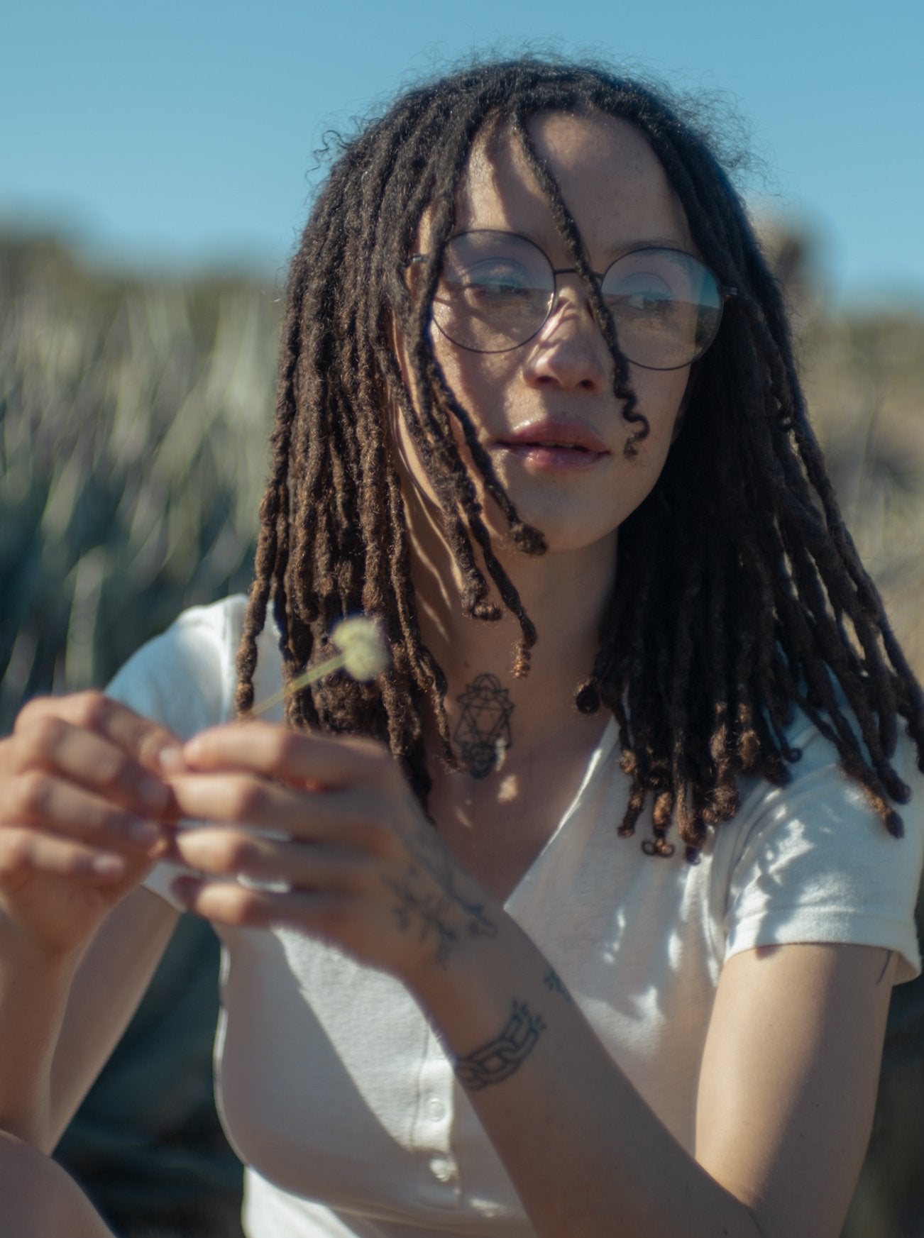 Collection-Zonia – RAEN